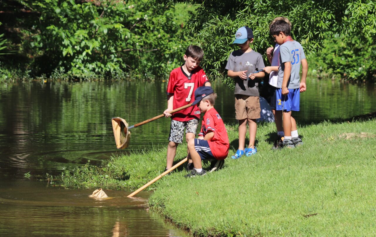 Education | Lockerly Arboretum
